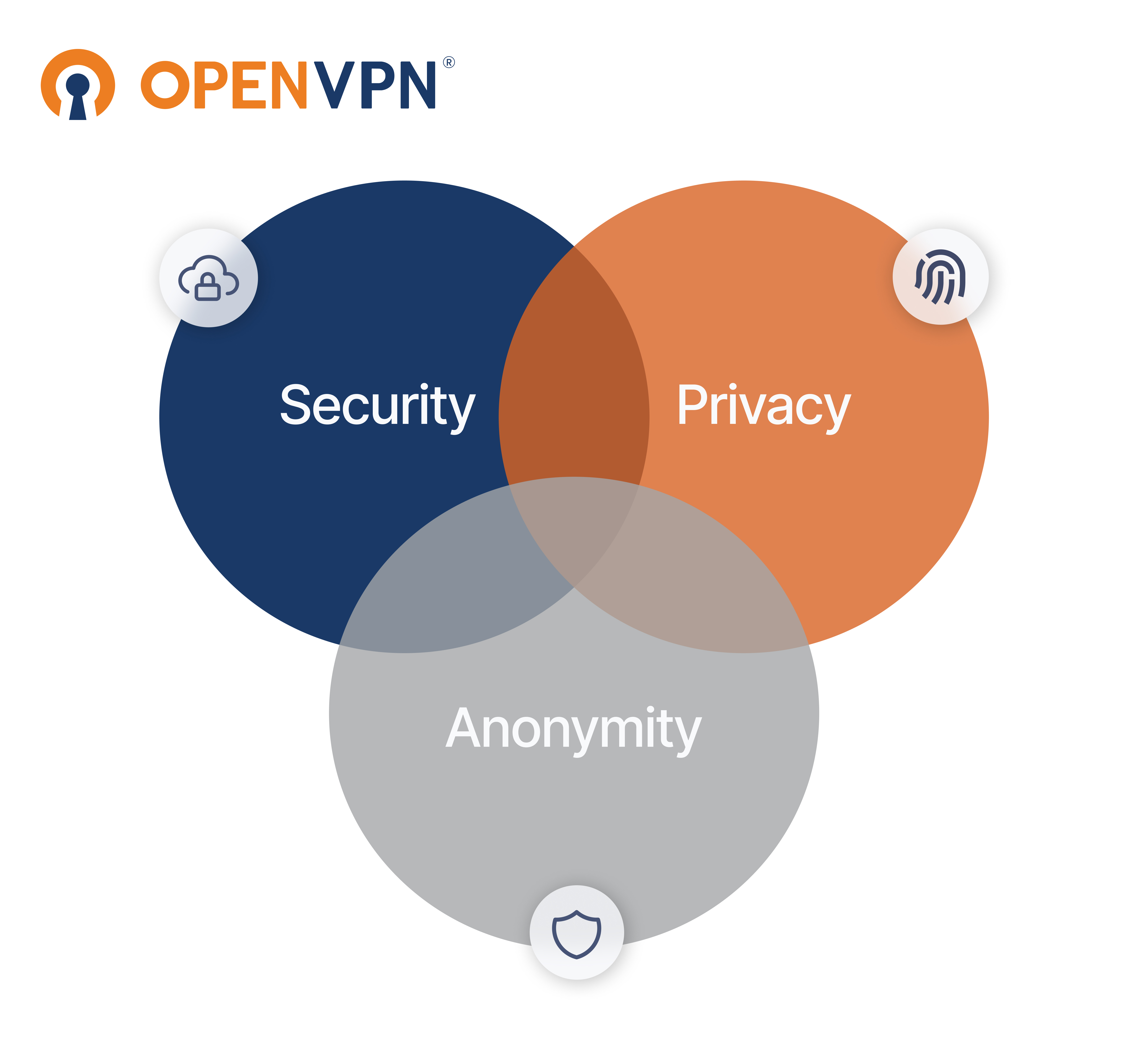 Anonymity Privacy And Security